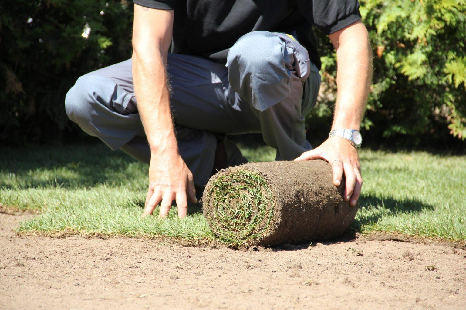 Gräsmatta på rulle | Skånefrö