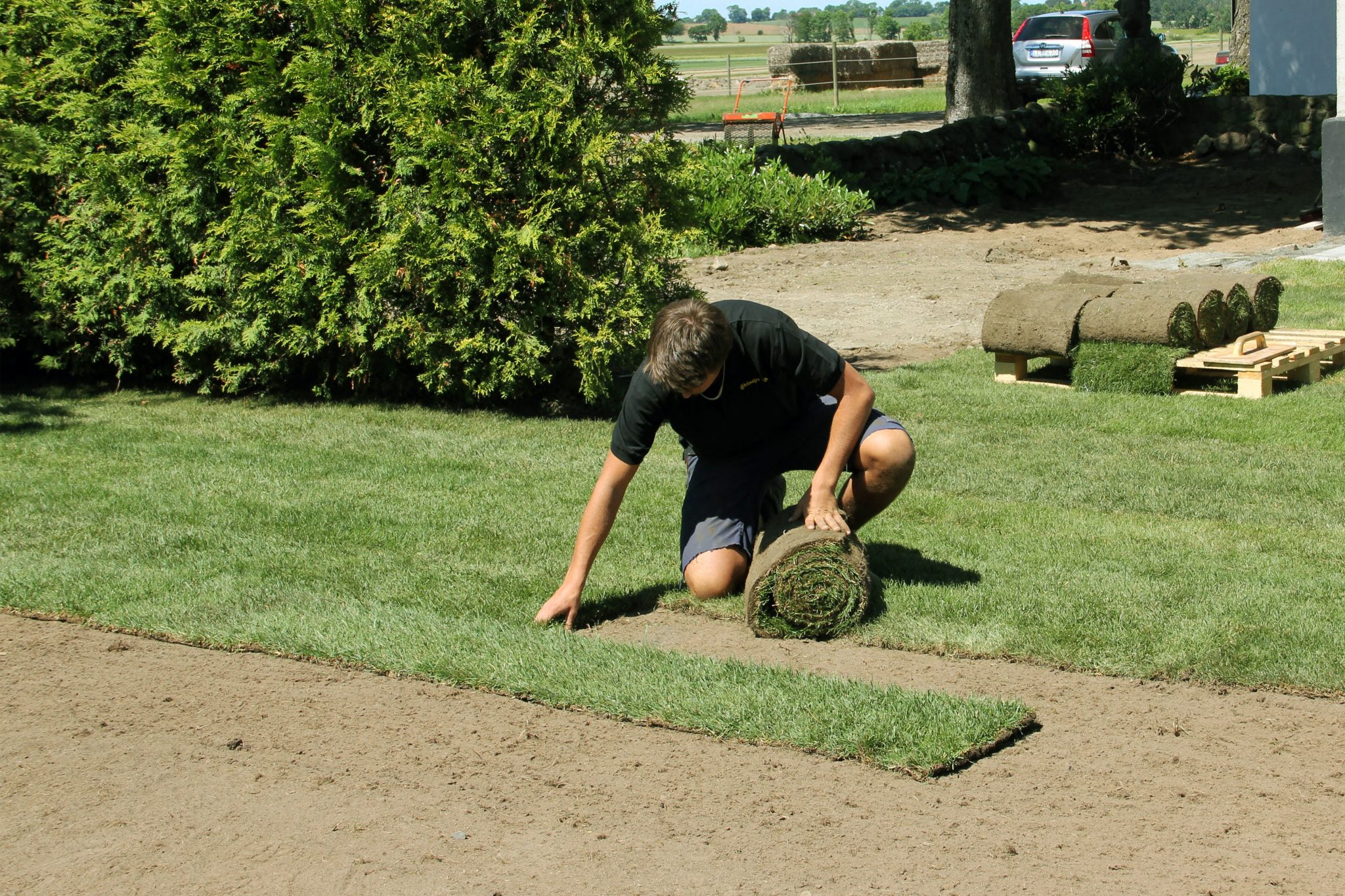 Gräsmatta på rulle | Skånefrö